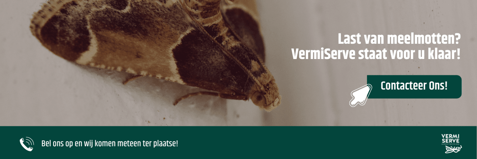 Meelmotten natuurlijk bestrijden: "10 stappen voor natuurlijke ...