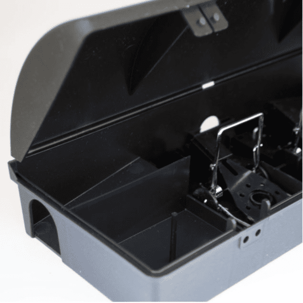 Muizen verjagen met natuurlijke geuren: "Hier zijn 7 manieren ...