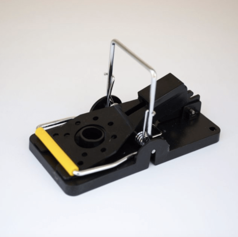 Muizen verjagen met natuurlijke geuren: "Hier zijn 7 manieren ...