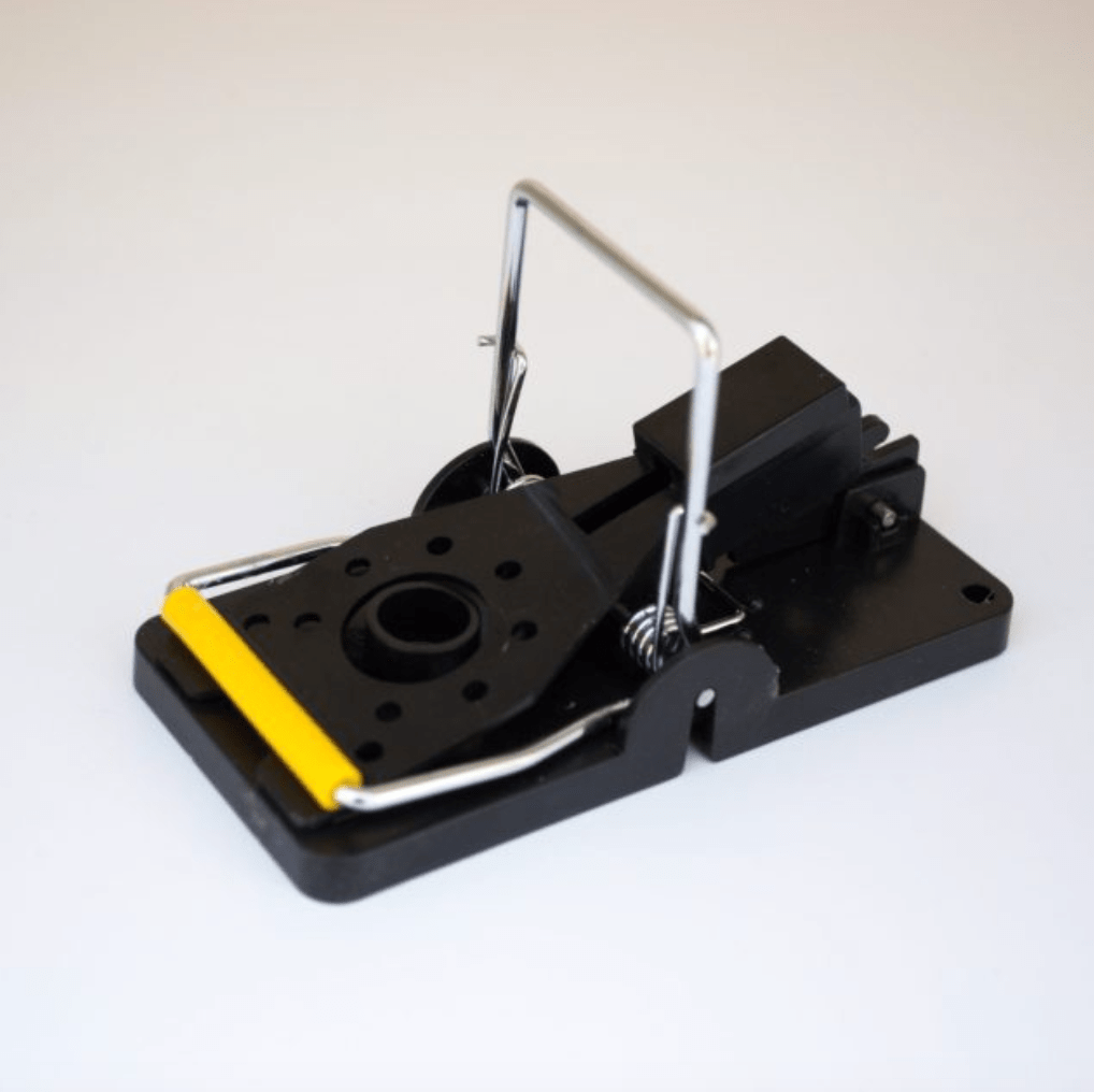 Muizen verjagen met natuurlijke geuren: "Hier zijn 7 manieren ...